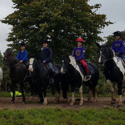 Riding School | Lodge Farm Equestrian Centre