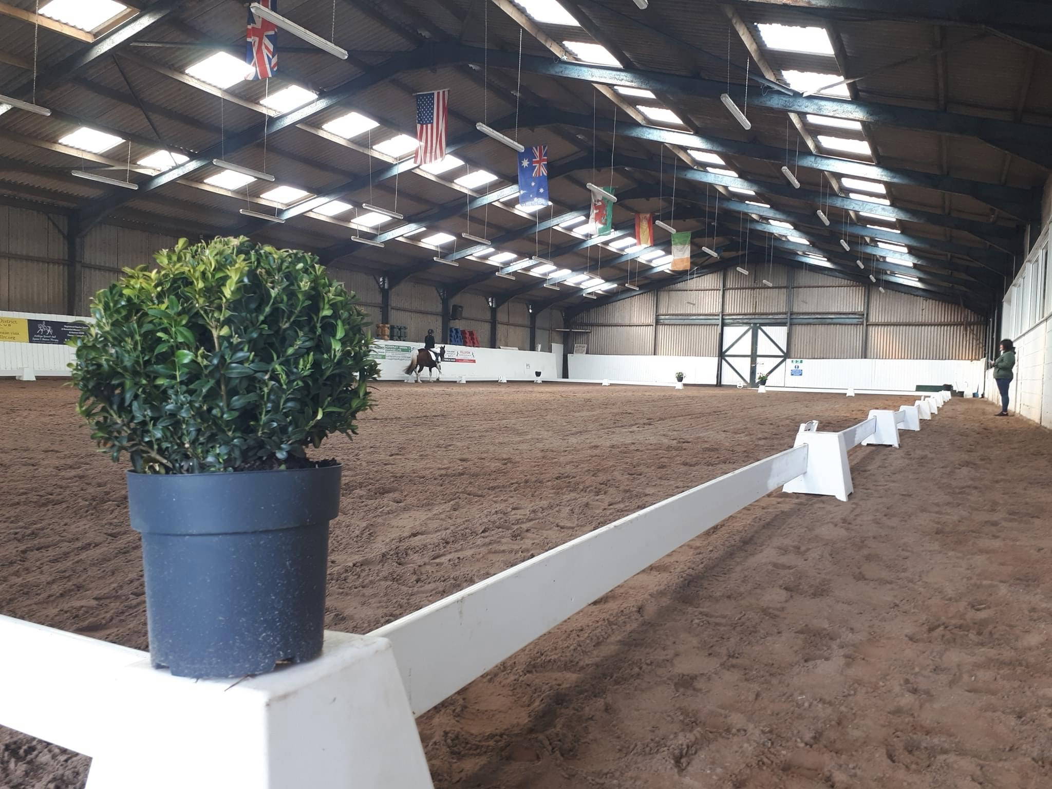 Lodge Farm Showing Working Hunter Show Lodge Farm Equestrian Centre