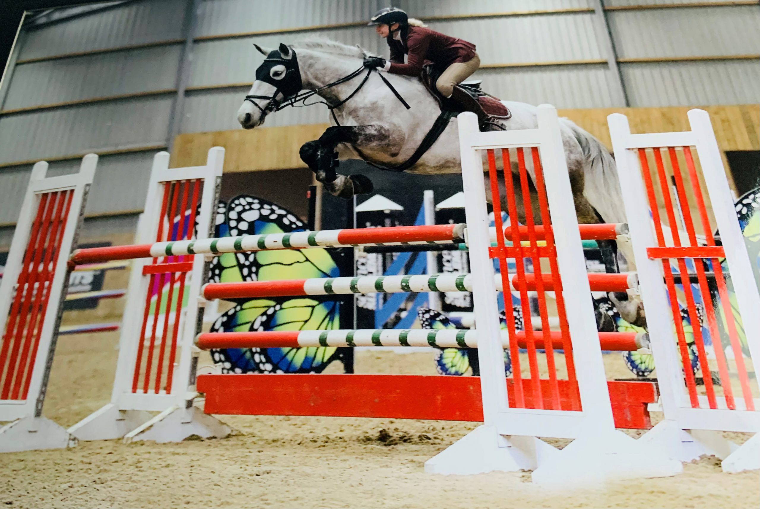 Natalie Price Lodge Farm Equestrian Centre